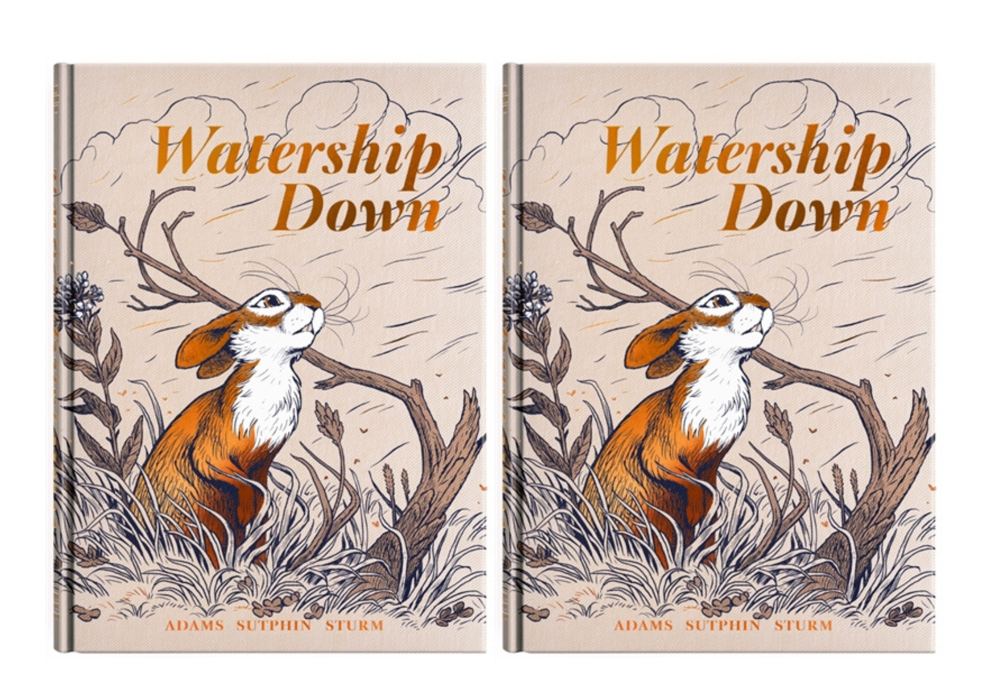 James Sturm et Joe Sutphin, lauréats du prix Comics de la Critique ACBD ...